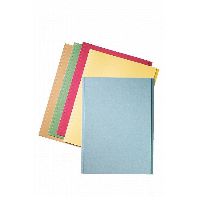 ESSELTE INLEGMAP 300GR FOLIO GROEN 100s | Kwarto.be