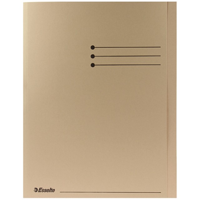 ESSELTE INLEGMAP 180GR A4 GEMS | Kwarto.be